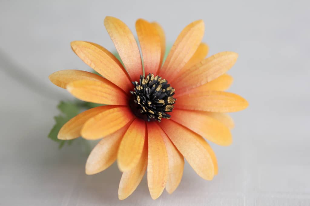 Daisy Crazy: Hand-Colored Paper Daisies - Finding Time To Create