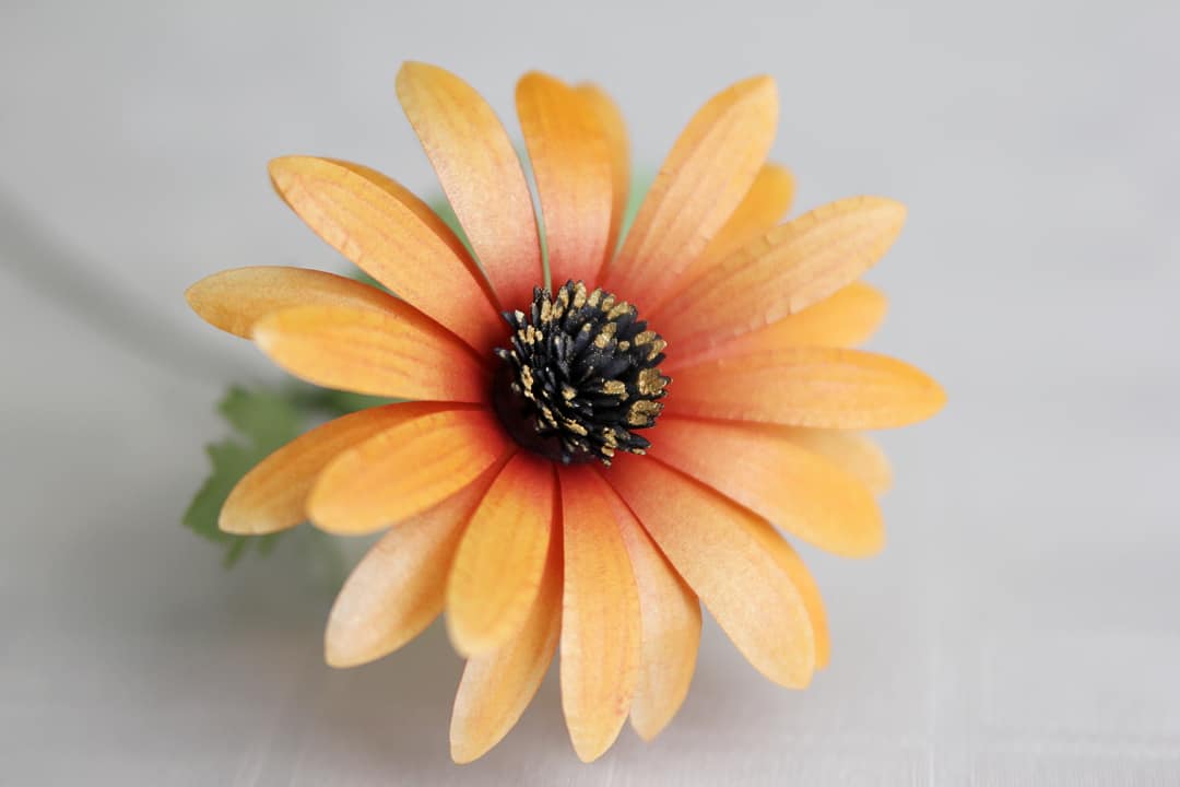 Daisy Crazy: Hand-Colored Paper Daisies - Finding Time To Create
