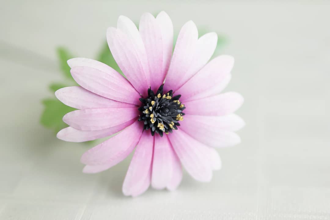 Daisy Crazy: Hand-Colored Paper Daisies - Finding Time To Create