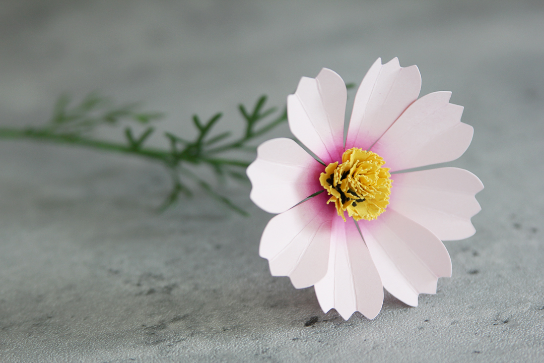 Craft Along: Cosmos Paper Flower - Finding Time To Create