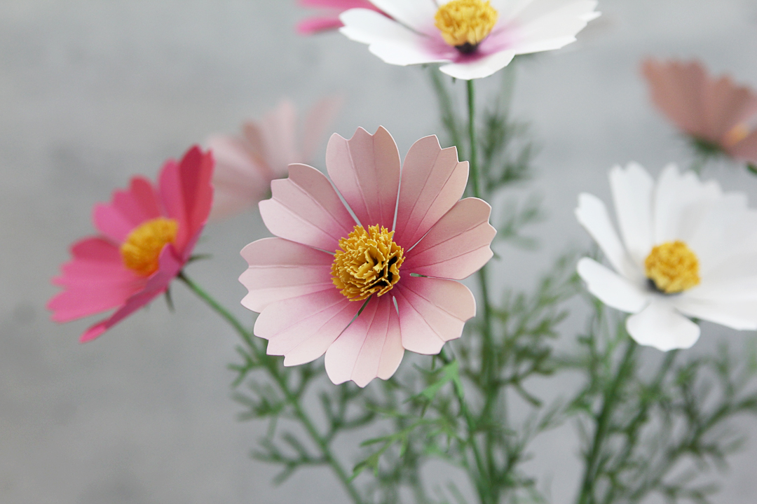 Craft Along: Cosmos Paper Flower - Finding Time To Create