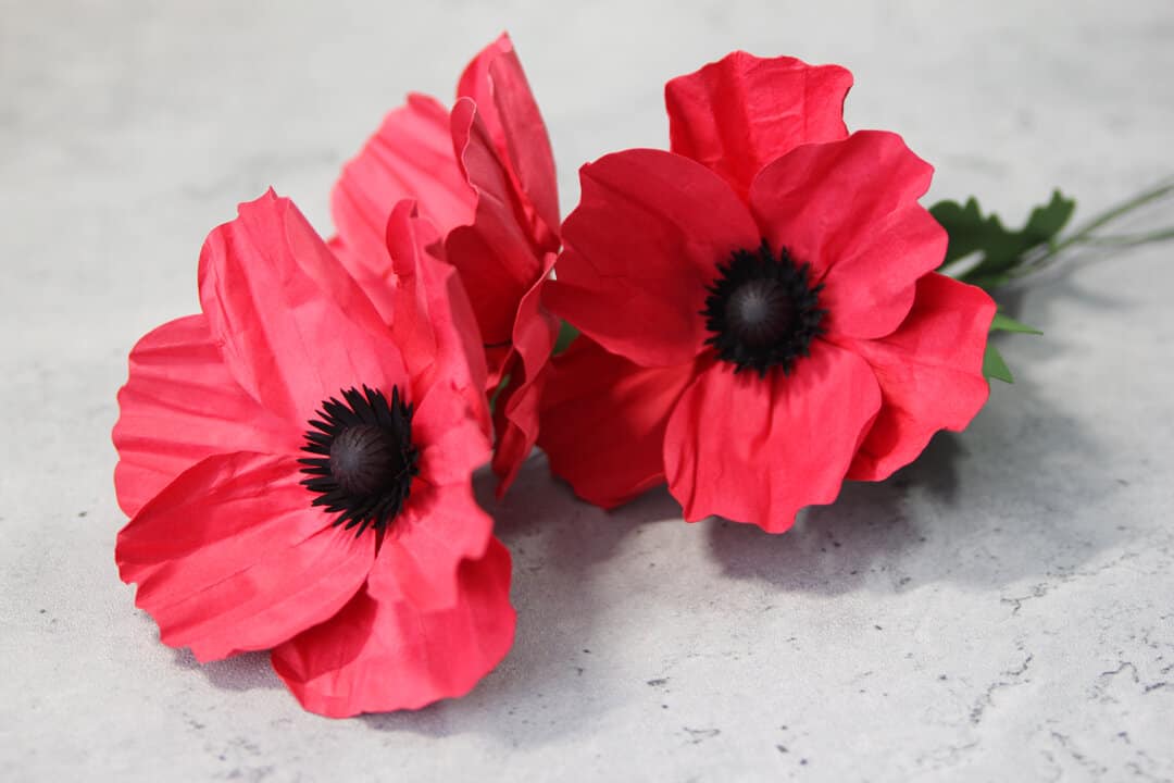 Craft Along: 3D Paper Poppy - Finding Time To Create