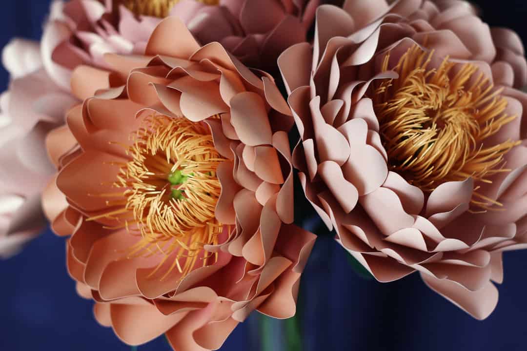 Frosted Paper Flower Master Class - Finding Time To Create