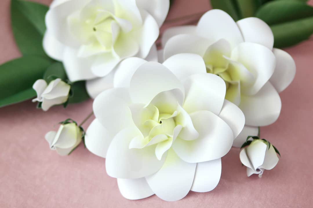Lia Griffith Masterclass: Frosted Paper Flowers - Finding Time To Create