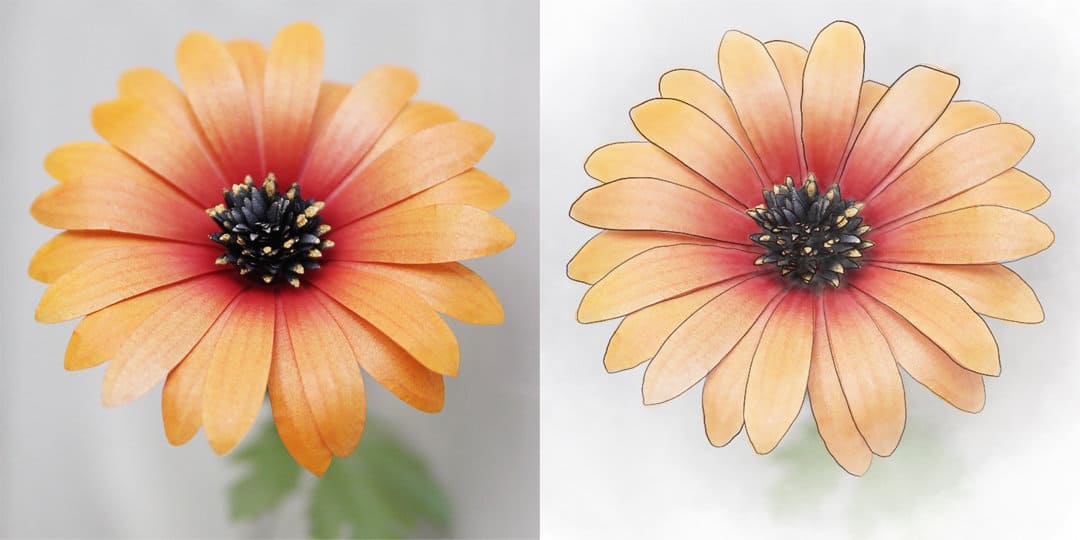 Side by side african daisy - Finding Time To Create