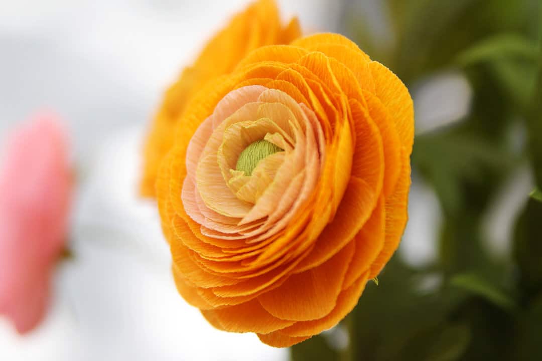 Lia Griffith Spring Summit Flowers - Finding Time To Create